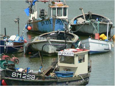 History of Commercial Fishing - Development of the Fishing Industry