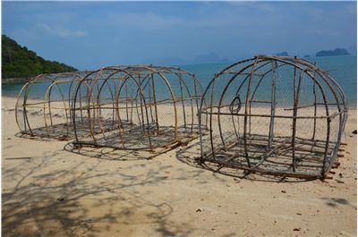 Fish Trap - History, Methods and Types of Fish Traps